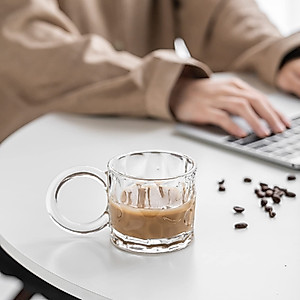 HolaJia Espresso Cups Glass Coffee Mugs 8.4 Oz Set of 2,Clear Embossed Tea Cups,Vintage Glassware with handle,Demitasse Glasses for Cappuccino,Latte,Hot Beverage(Begonia)