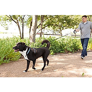 Petmate K9 Control Retractable Dog Walking Leash, Large, Up to 120lbs, 20’ tape, includes zeroslack technology allowing leash to retract while in locked position
