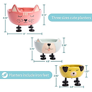 Pointnio Cute Plant Pots,Ceramic Garden Pots,Plant Gifts for Woman,Planters for Indoor Plants.Small Pots for Plant.Spring Flower Pots.Spider,Succulent Pots 6"+4.8"+4" Set of 3