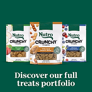 Nutro Crunchy Dog Treats With Real Apple, 10 oz. Bag