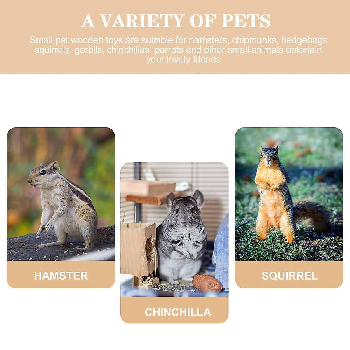 1 Set Pet Water Fountain Leak- Water Feeder Convenient Hamster Waterer Pet Drinking Bottle Hamster Bottle and Stand Hamster Water Container Hamster Kettle Support Pet Supplies