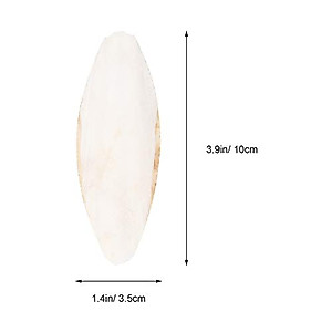 POPETPOP Bird Beak Stone -12PCs Bird Cuttle Bone Parrot Beak Grinder Desalting Cuttlebone Toy Pet Training Chew Molar Toy (Each Pcs Slight Different in Size)