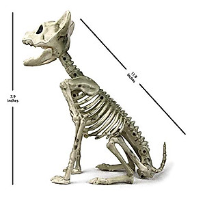 MAKEATREE Halloween Decoration Mini Skeleton Cat Kitten, Plastic Crouching Sitting Cat Bones for Pose Skeleton Prop Indoor Spooky Scene Haunted House Party Favors Décor