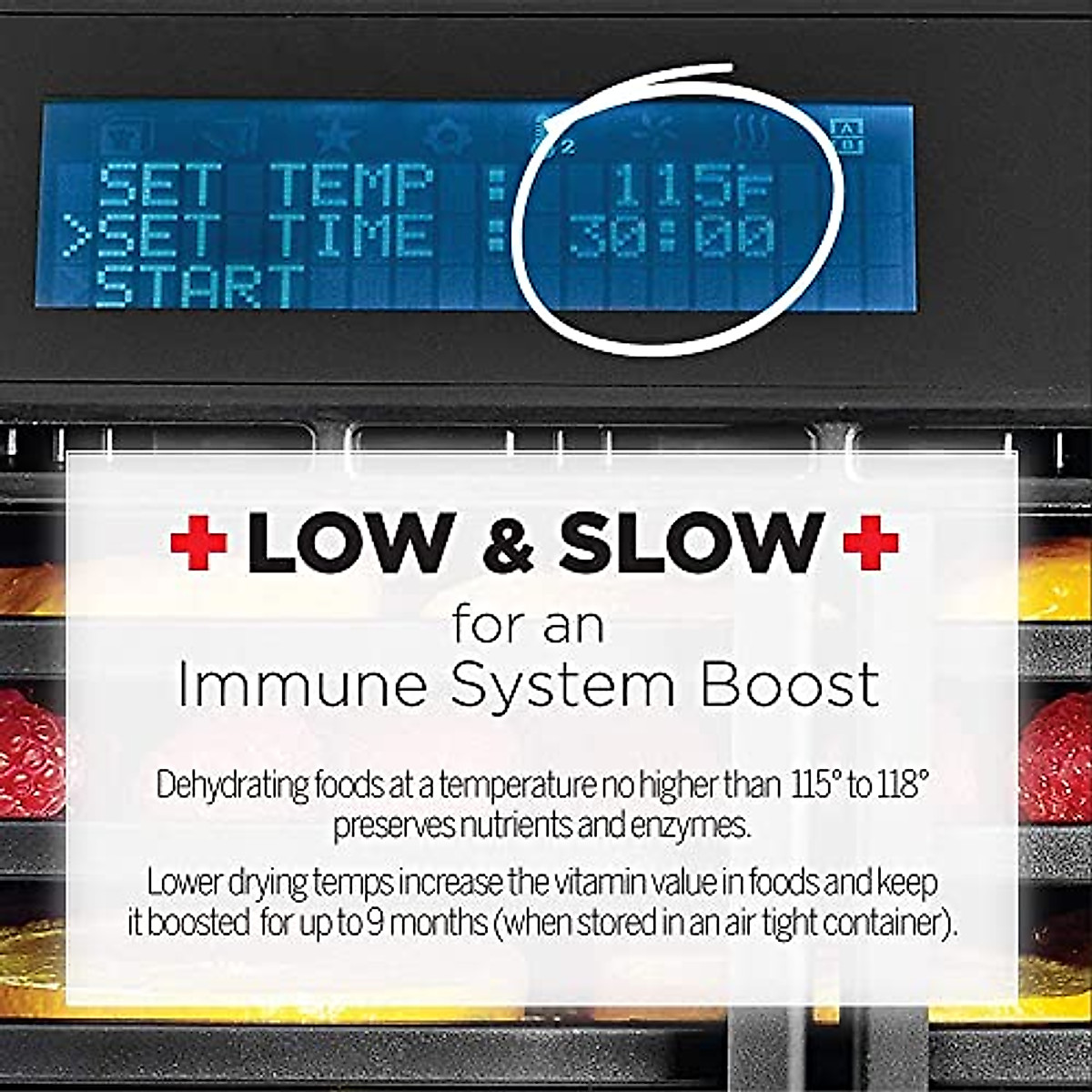 Excalibur 3500 Food Dehydrator - 5 Tray - Black - Food Dryer Kitchen Appliance - Food Storage & More