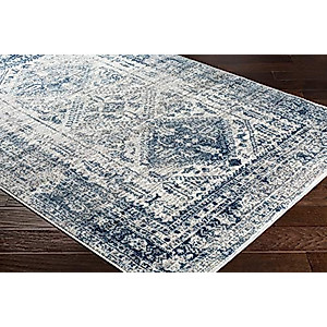Artistic Weavers Desta Vintage Oriental Area Rug,6'7" x 9',Blue/White