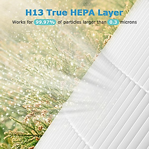 A2001 Replacement Filter, Compatible with A2001 Air Purifier, H13 True HEPA 3-in-1 High Efficiency Filtration, Compared Part #AF-2001, 2 Pack