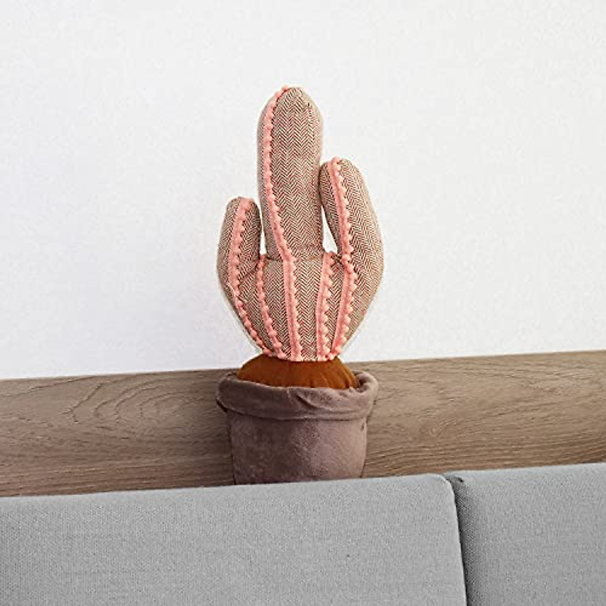 Decorative Cactus Door Stop-Cute Weighted Door Stopper for Home and Office Decoration