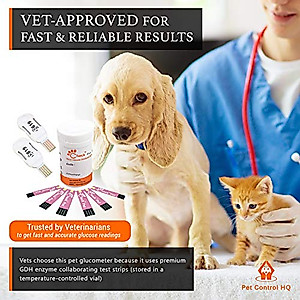 Pet Control HQ Blood Sugar Glucose Monitor System - Cat and Dog Glucose Monitoring Kit - Accurate Diabetes Testing 2 Calibrated Code-Chips, Lancets, Logbook - Monitor + 50 Test Strips