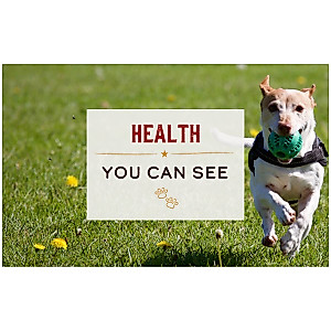 Merrick Lil’ Plates Premium Grain Free Natural Wet Dog Food For Small Dogs Surfin' And Turfin' Supper In Gravy - (Pack of 12) 3.5 oz. Tubs