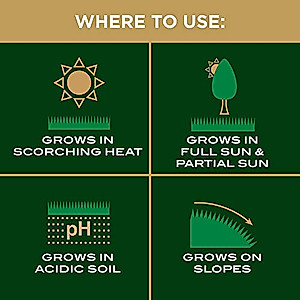 Scotts EZ Seed Patch and Repair Centipede Grass, 3.75 lb