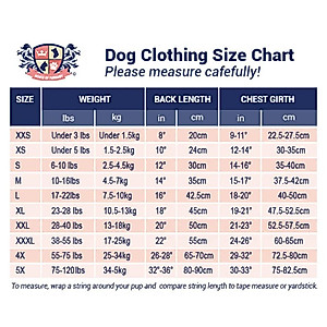 Santa's Cutest Elf Dog Costume, Dog Christmas Costume, Dog Christmas Outfit, Christmas Elf Dog Shirt, Clothes for Dogs (XL 20-28 lbs)