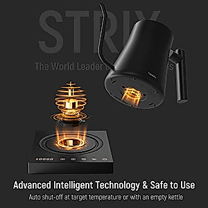 Gooseneck Electric Kettle Fabuletta Electric Kettle Temperature Control 100% Stainless Steel Inner Lid & Bottom Pour Over Coffee Kettle & Tea Kettle 1200W Quick Heating 1L Tea Pot for Family