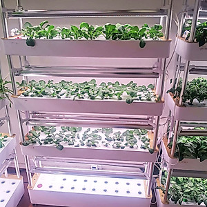 YWNYT 120Pcs Seed Pod Kit for Aerogarden, Hydroponics Garden Accessory Hydroponics Supplies with 30 Grow Basket, 30 Grow Sponges, 30 Pod Labels 30 Grow Domes, Grow Seed Starter Pods