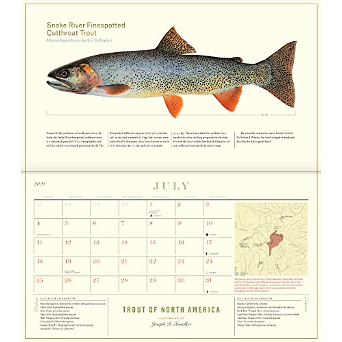 Trout of North America Wall Calendar 2021