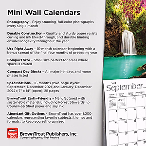 Hummingbirds 2022 7 x 7 Inch Monthly Mini Wall Calendar, Animals Wildlife Nature
