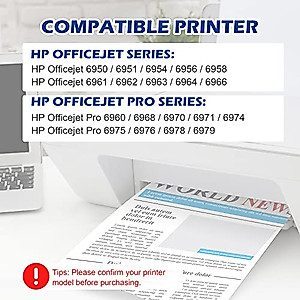 DOUBLE D Compatible 902XL Black Ink Cartridges Replacement for HP 902 902XL Black (Upgrade Chip) for HP OfficeJet Pro 6978 6962 6968 6975 6960 6970 6950 6954 6979 6951 Printer (2 Black)