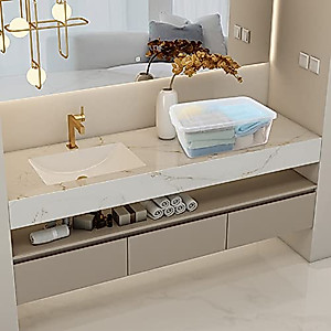 Callyne 2-Pack 16 L Clear Plastic Storage Box, Latch Storage Bin