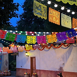 JNSAXMI Mexican Hair Felt Picado Banner,Mexican Party Fiesta Hair Felt Banners,Dia De Los Muertos Decorations Party Supplies