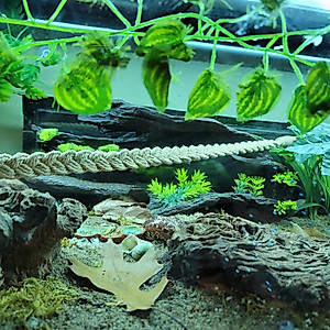 2 Pack 13.8" Hermit Crab Climbing Toys, Hanging Hermit Crab Rope Ladder, Hermit Crab Supplies, Reptile Vines Toys, Reptile Tank Terrarium Accessories, Habitat Decor for Leopard