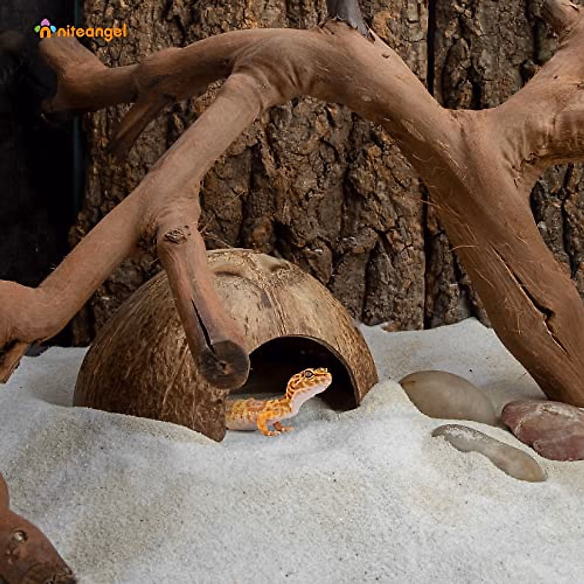 Niteangel 2 Pack Natural Coconut Reptile Hideouts, Lizard, Spider and Aquarium Fish Hide Cave (Smooth Surface)