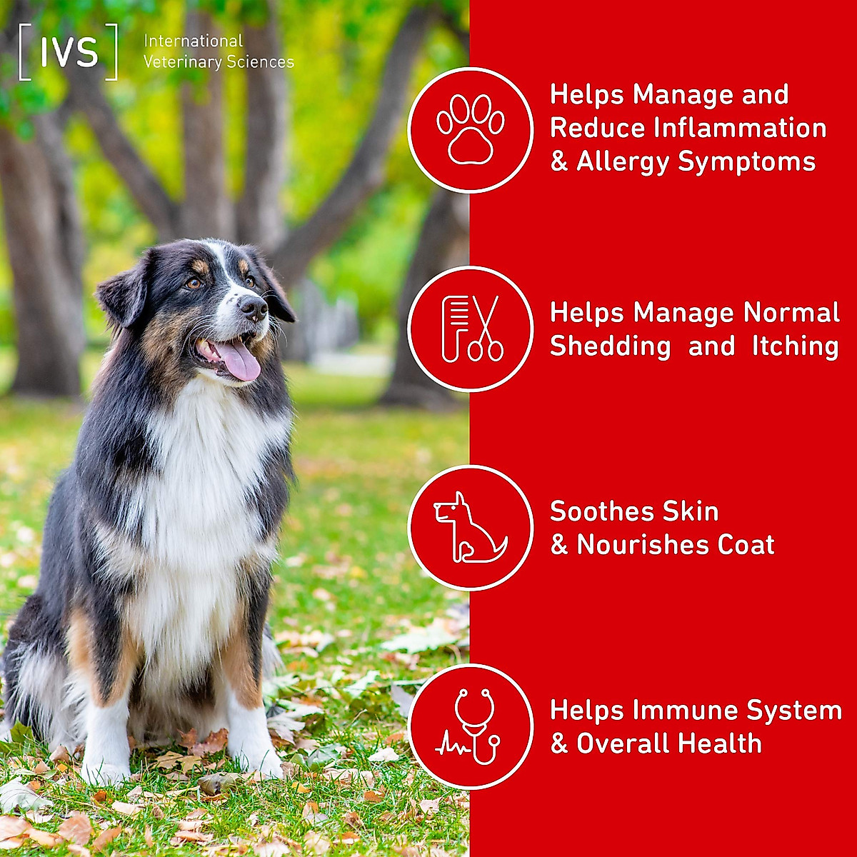 International Veterinary Sciences IVS Lipiderm Gel Cap Skin and Coat Fish Oil Omega 3 and 6 Dietary Supplement for Small/Medium Dogs, Made in the USA, 60 Count