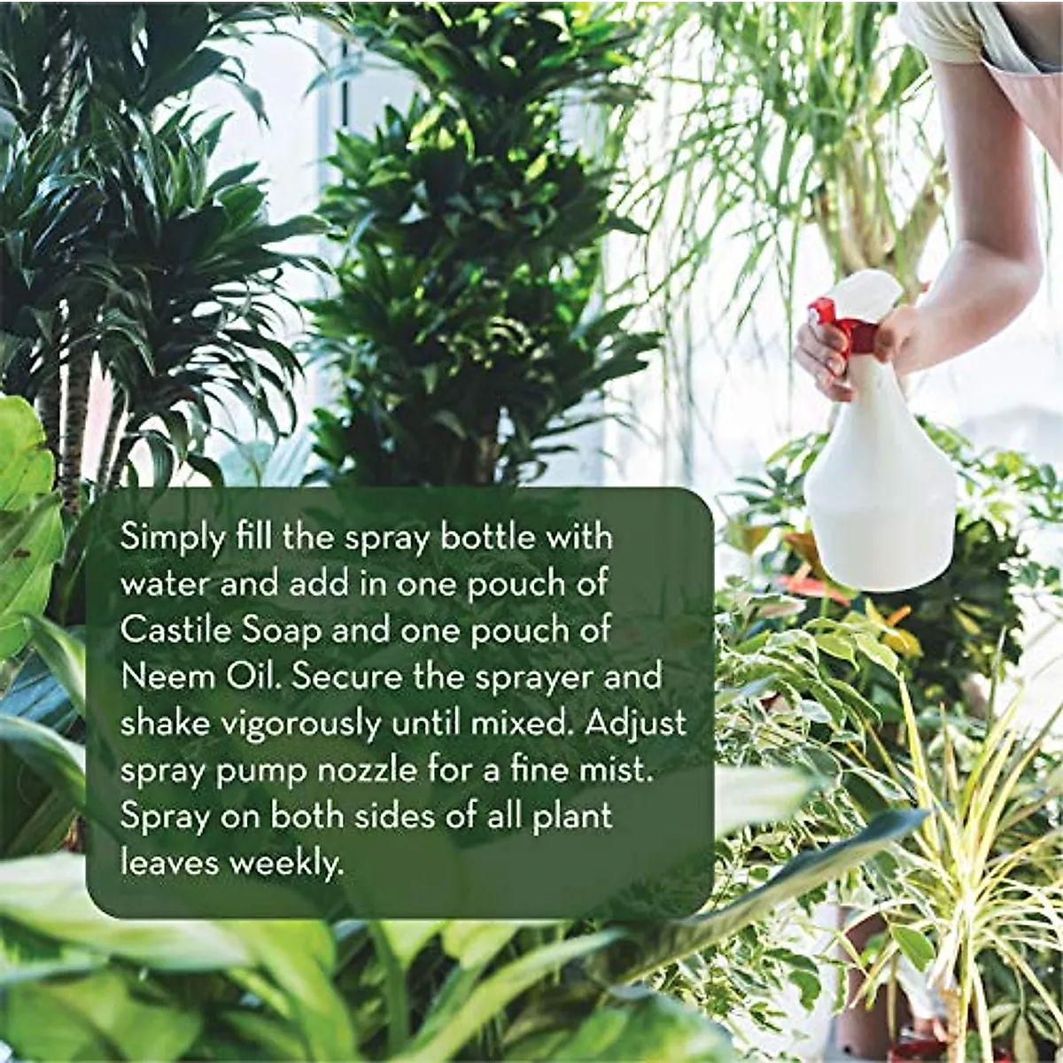 Emily's Naturals Neem Oil for Plants | Spray Kit Makes 48oz | for Outdoor Garden and Indoor House Plants | Safe and Biodegradable