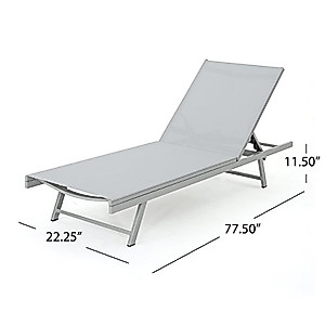 GDFStudio Allen Outdoor Gry Mesh Chaise Lounge with Aluminum Frame (Set of 2)
