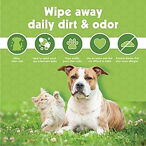 Petkin Mega PetWipes, 200 Wipes - Bamboo Pet Wipes for Dogs and Cats - for Face, Paws, Ears, Body and Eye Area - Super Convenient Dog Cleaning Wipes, Ideal for Home or Travel - Easy to Use