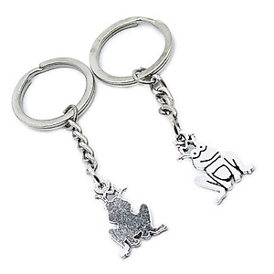 100 Pieces Keychain Keyring Door Car Key Chain Ring Tag Charms Supplies TD6I6F Frog Prince