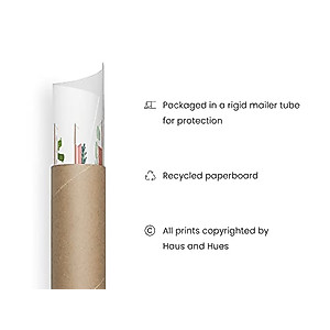 HAUS AND HUES Plant Pictures Wall Art - Succulent Art Wall Decor, Plant Prints Wall Art & Botanical Plant Wall Art Prints, Cactus Poster Botanical Flower pots on Shelves (24x36 Unframed)