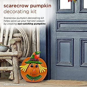 Alpine Corporation LAZ156A Alpine Seasonal Kit Harvest Pumpkin Decor, 10 x 0.2 x 8, Multi