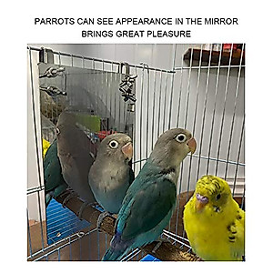 Bird Mirror, Stainless Steel Medium Small Parrots Mirror Bird Mirror Toy with Wooden Standing Rod for Parrot Parakeet Cockatiels