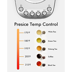 Electric Glass Tea Kettle with Infuser, 1.7L/1500W Fast Boiling, Stainless Steel, Temperature Control Tea Maker, BPA Free - Easy Lid Removal & Keep Warm Feature, Silver