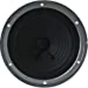 ASA Heavy Duty 5.25" Entry Level Speaker