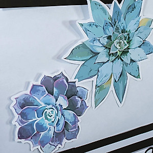 Schoolgirl Style Simply Stylish 36 Piece Botanical Succulents Bulletin Board Cutouts, Succulent Plant Bulletin Board Decorations, Greenery Accents, Classroom Décor