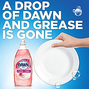Dawn Ultra Gentle Clean Dishwashing Liquid Dish Soap, Pomegranate & Rose Water Scent, 24 fl oz