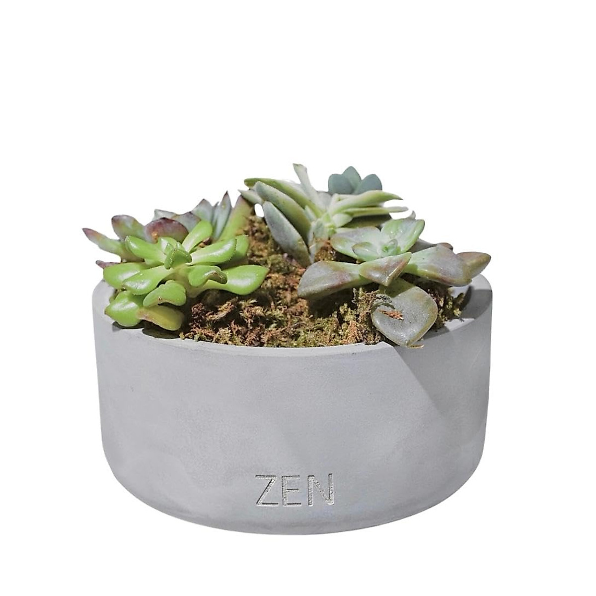 Generic Zen Candles - Concrete Plant Pot Decor Reusable Amber Wood Jasmine Baccarat Rouge Sandalwood Violet Le Labo Santal Oud Vanilla Bond Nomad Musk Rose (Oud & Vanilla, Medium), Gray