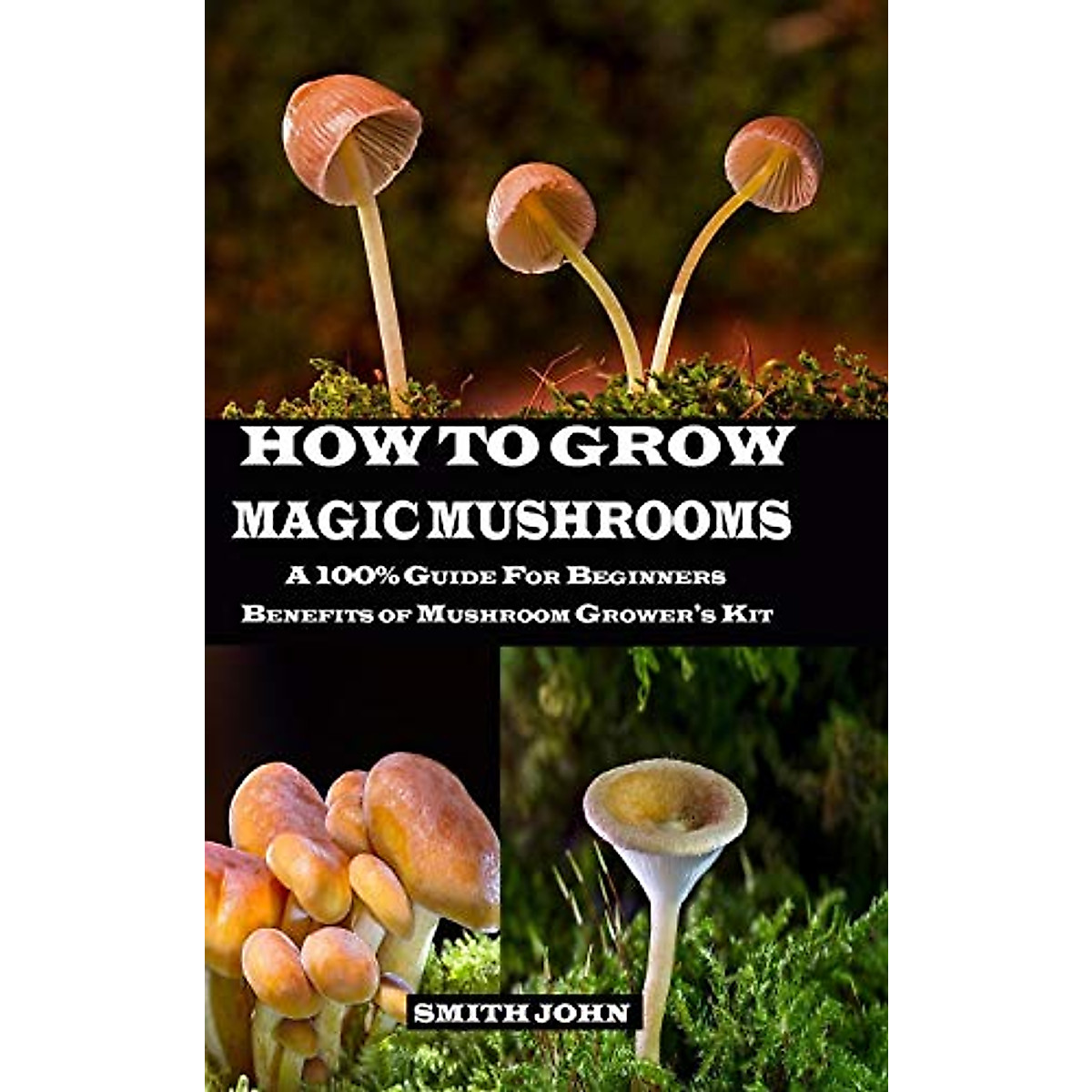 HOW TO GROW MAGIC MUSHROOMS: A 100% Guide for Beginners. Benefits of Mushroom Grower's kit