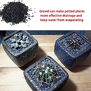 Avalution3 6-9 mm Natural Black Gravel 3LB, Polished Stone Succulent Plant Bonsai Stone DIY Plant Rock for Garden Outdoor & Indoor Vase Gravel Aquarium Fish Tank Fairy Gardening Filling Decoration