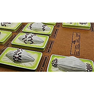 Plant Mitosis Model, 18 Inch - Three-Dimensional - Hand Painted Details - Simplified - Mounted - Eisco Labs