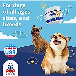 Pup Labs Fresh Breathies - All-Natural Delicious Dental Chews for Dogs - Dog Breath Freshener - Supports Gut Health and Immune System - Made for All Dogs and in The USA, 30 Chews
