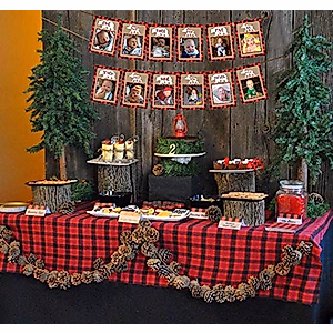 LaVenty Lumberjack First Birthday Banner Lumberjack Monthly Photo Banner Lumberjack First Year Photo Banner 1st Birthday Photo Banner Lumberjack Banner