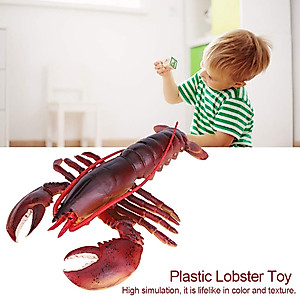 GLOGLOW Lobster Model, Artificial Lobster Seafood Model Simulation Lobster Model Plastic Lobster Decorations for Home Party Decoration Display Kids Toy(Dark-Australian Lobster, 9 in)