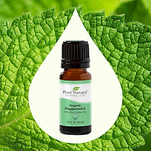 Plant Therapy Organic Peppermint Essential Oil 100% Pure, USDA Certified Organic, Undiluted, Natural Aromatherapy, for Diffuser, Skin, Hair, Therapeutic Grade 10 mL (1/3 oz)