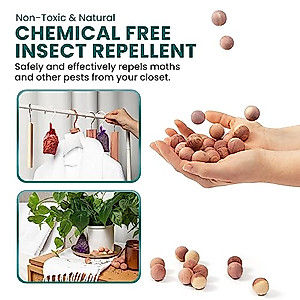 12 Cedar Blocks - Cedar Blocks for Clothes Storage & Closet Set - Cedar Planks & Balls for Clothes Storage - Drawer Freshener for Clothes with Cedar Rings for Hangers - Cedar Wood Chips for Clothes