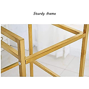 Utility Cart Lab Serving Cart, Medical Cart 3 Shelf Large Beauty Salon Trolley Cart Spa Storage Tray Therapy Dentist Hairdresser Treatments, Stainless Steel Tray Trolley,Care Dressing Medical Cart (C