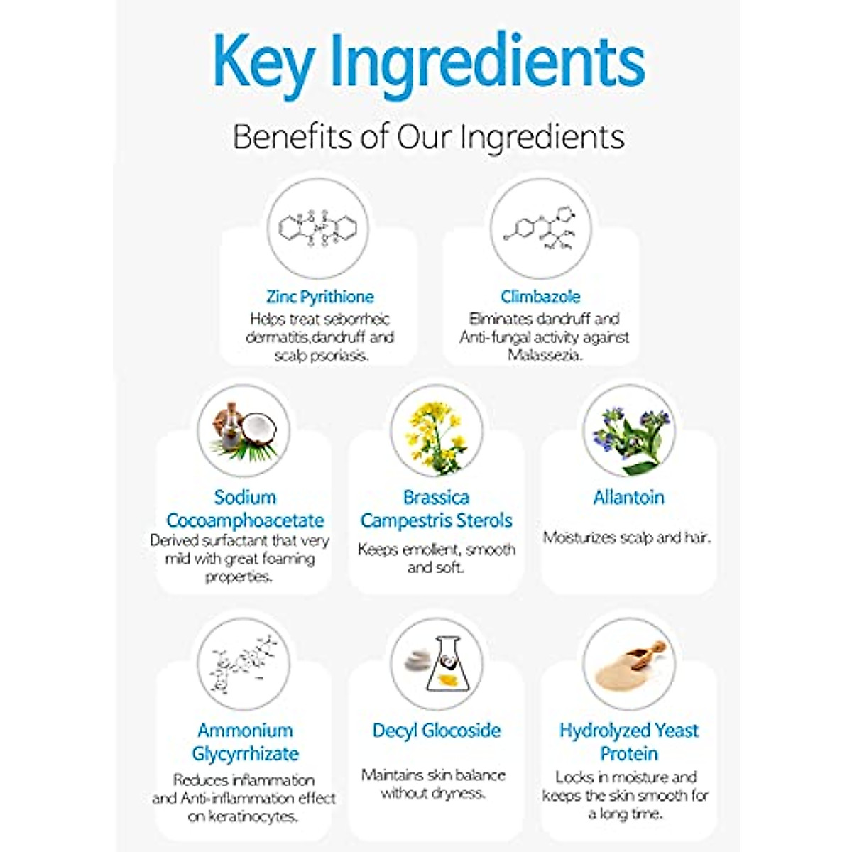 BallVic Sebo Shampoo - Itchy Scalp Trouble Care Dandruff Treatment Hair Loss Shampoo for Seborrheic Dermatitis Eczema Men and Women 2.8 Oz (230g)