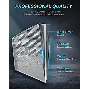 KYOKU 10" Scimitar Knife, Gin Series Cimitar Breaking Knife with Silver PVD Coating Damascus Blade, Japanese VG10 Stainless Steel Butcher Knife, Full Tang Brisket Kitchen Knife with Sheath & Case