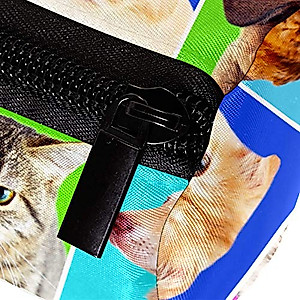 Dogs and Cats Portraits Pencil Bag Pen Case Stationary Case Pencil Pouch Desk Organizer Makeup Cosmetic Bag for School Office