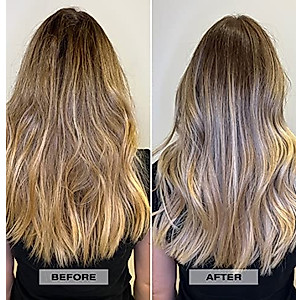 L'ANZA Healing ColorCare Silver Brightening Shampoo, for Silver, Gray, White, Blonde & Highlighted Hair, Boosts Shine and Brightness while Healing, Controls Unwanted Warm Tones (10.1 Fl Oz)